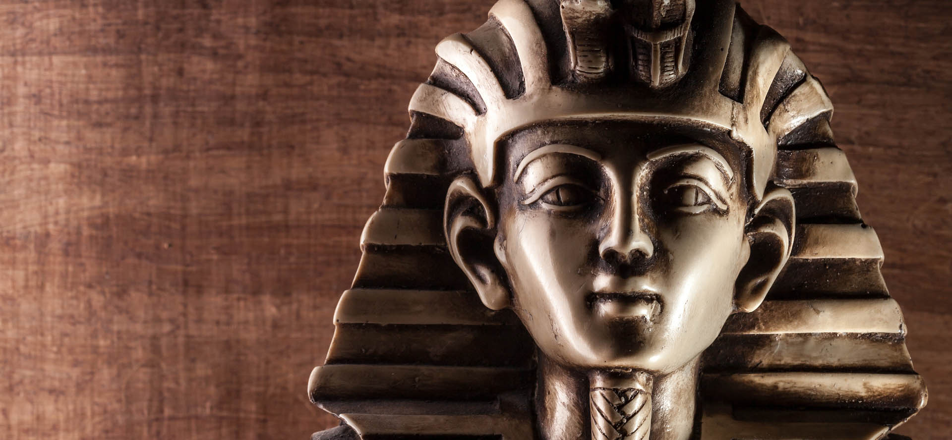 Van farao Sa-Nakht tot ‘s werelds kleinste reus | Pfizer