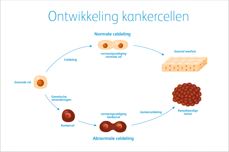 Wat is kanker? Belangrijke informatie op een rijtje | Pfizer